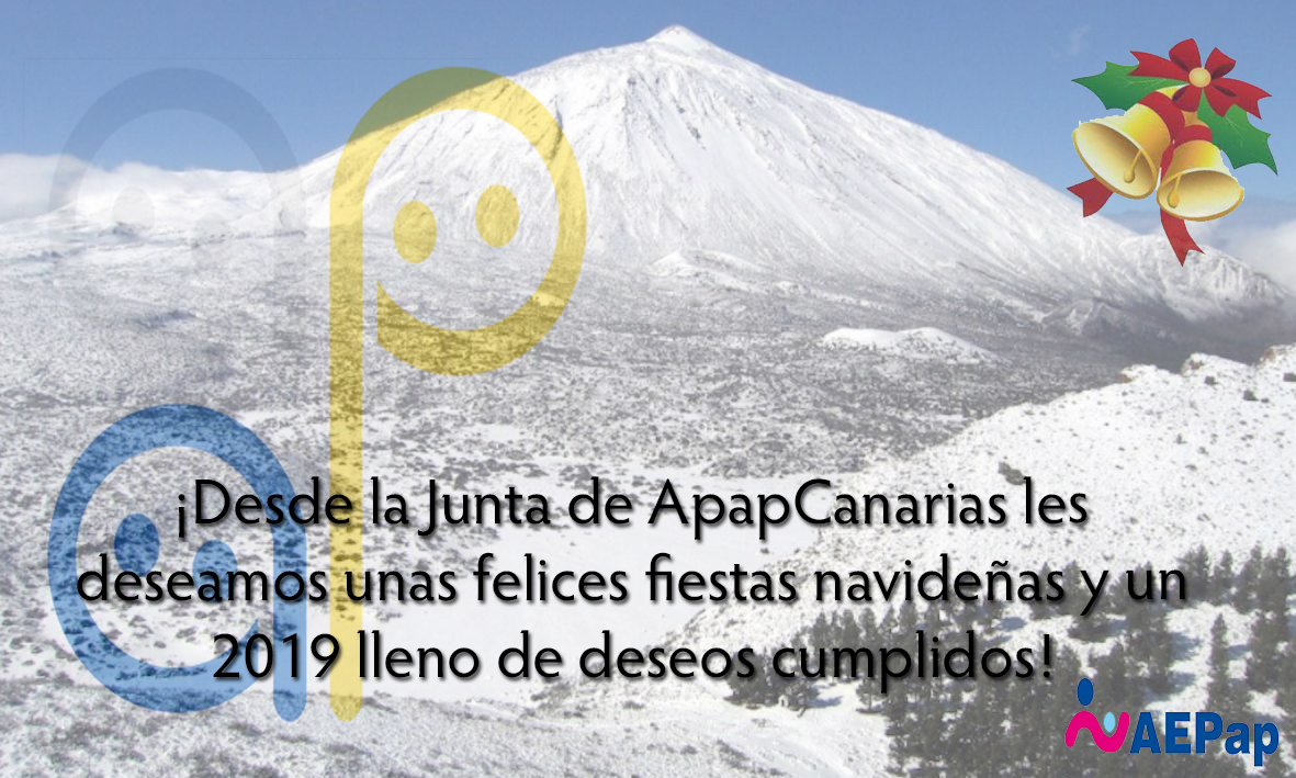 Felices fiestas – APap Canarias